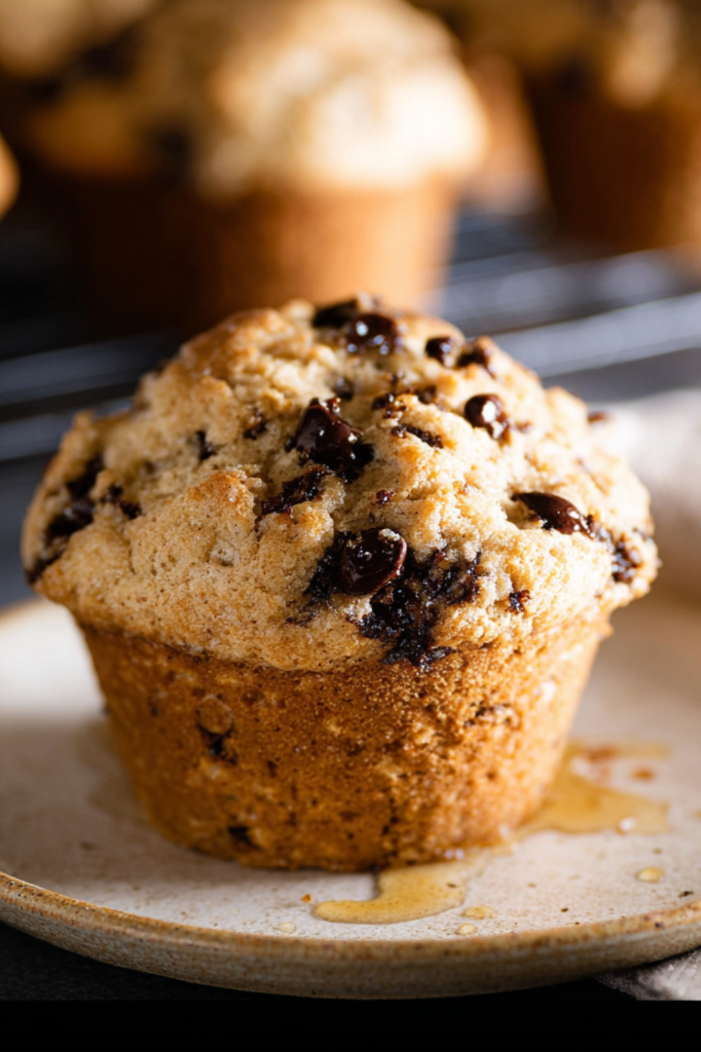 Low Sodium Chocolate Chip Muffins Recipe - Savory Sides